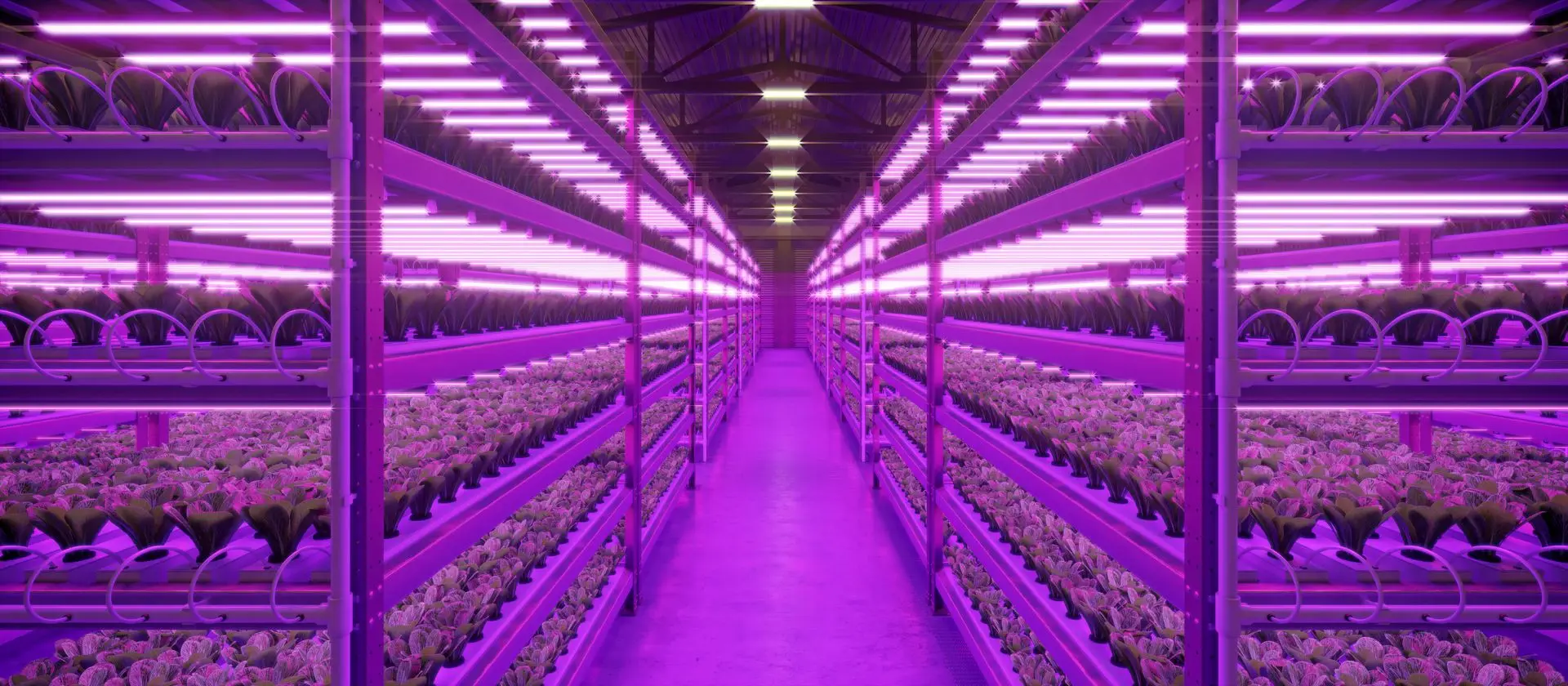 Tech Solutions for Farming